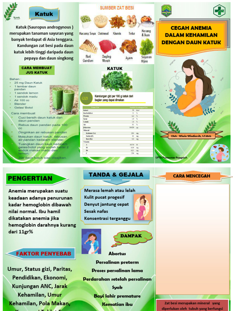Leaflet Anemia Daun Katuk Windi | PDF