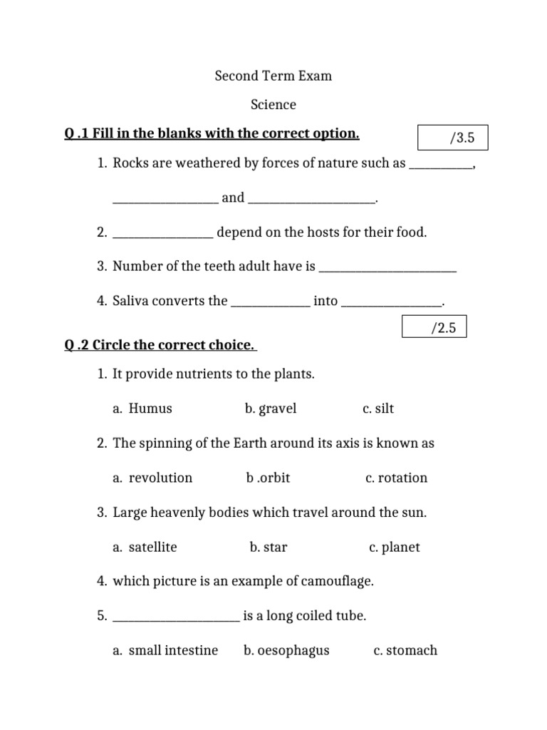Second Term Exam | PDF | Earth | Foods