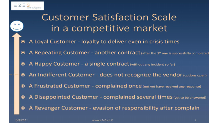Customer Satisfaction Scale 230218A | PDF