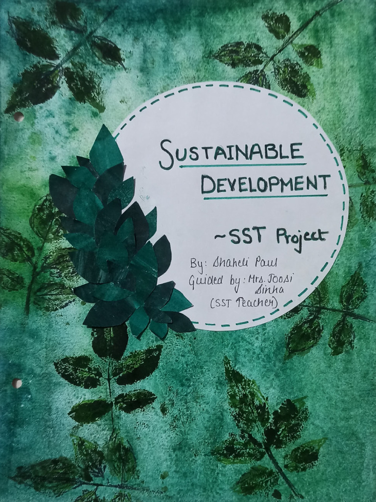SST Sustainable Development Project | PDF