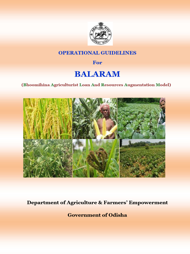 Balaram Og Final | PDF | Banks | Lease