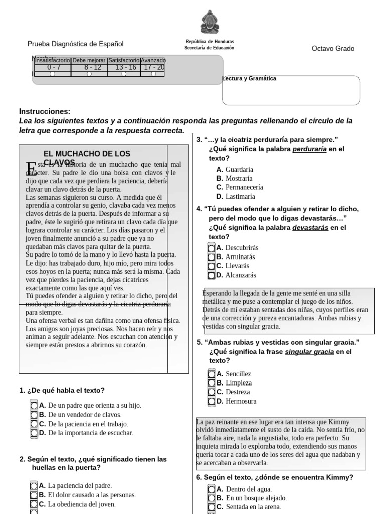 Prueba Diagnóstica 8º Español (2011) | PDF