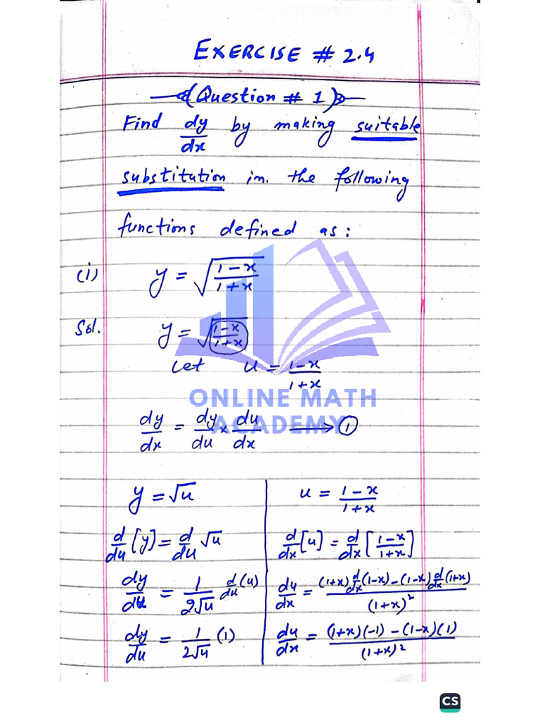 Math 12 Class Differentiation Ex 2.4 | PDF