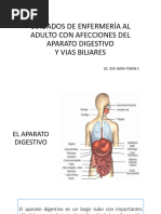 Anatomia, Irrigacion, Inervación Del Esofago y Estomago | PDF ...