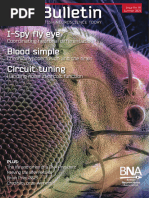 STP Test Report | PDF