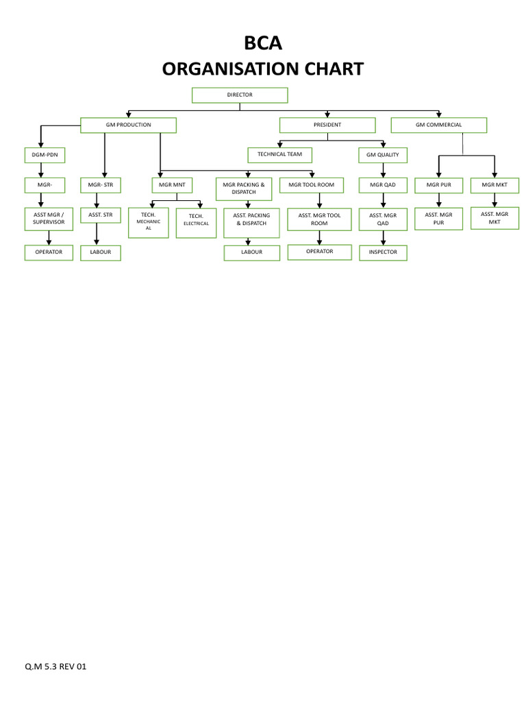 Organisation Chart | PDF | Technology & Engineering