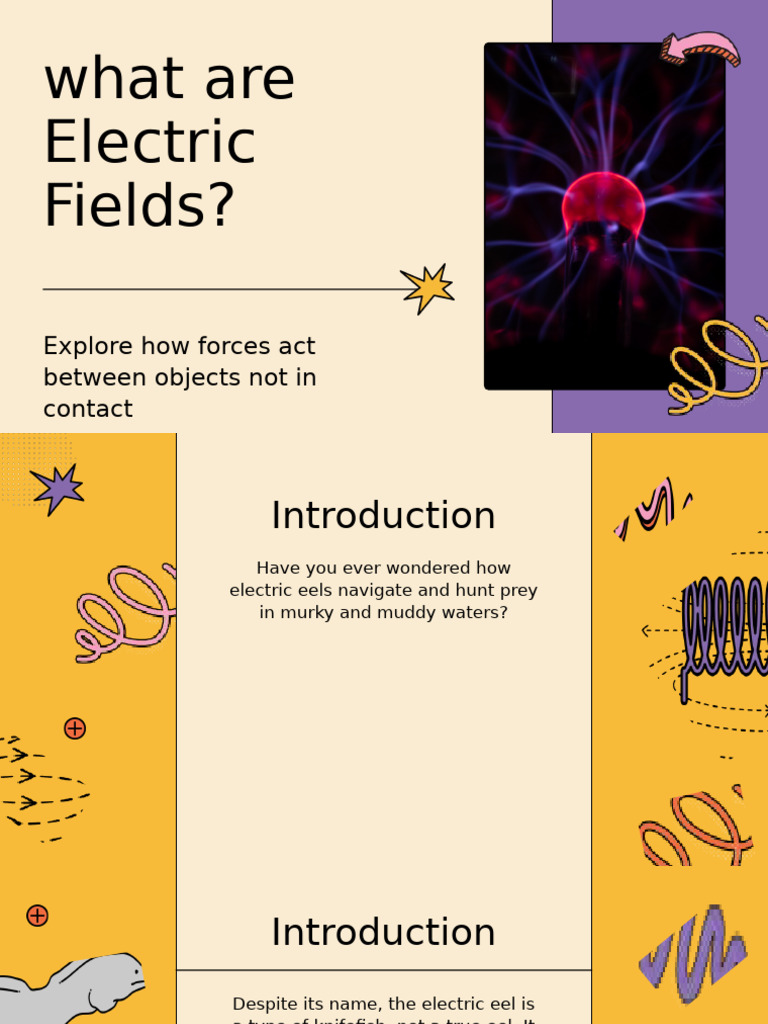 Understanding Electric Fields Explained | PDF | Electric Field | Electric Charge
