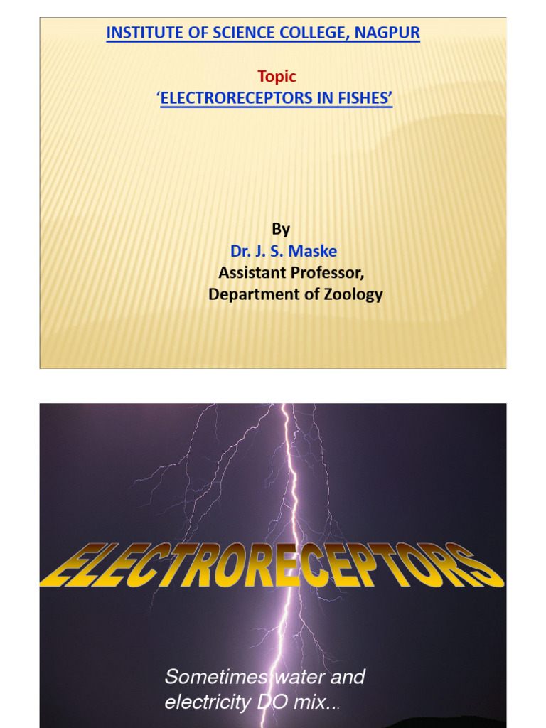 4.4 JSM Electro Recept in Fish-2 | PDF | Physiology | Electricity