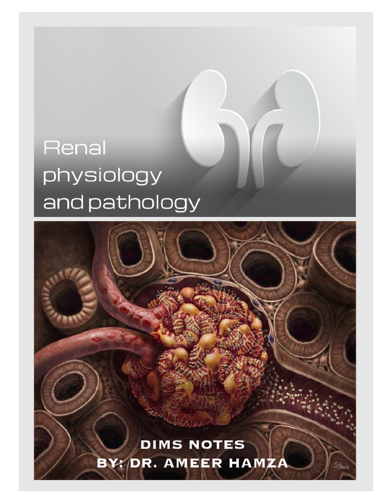Renal Physio Patho (Al HaYaT) | PDF