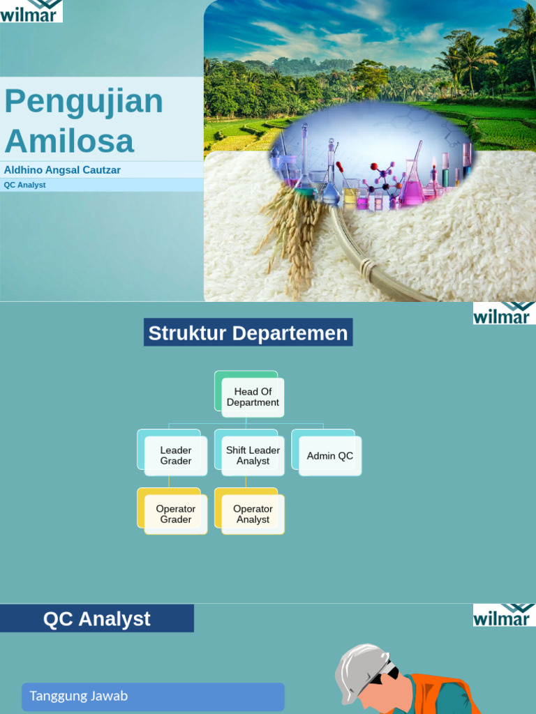 Analisis Amilosa pada Beras dan Prosedur Lab | PDF