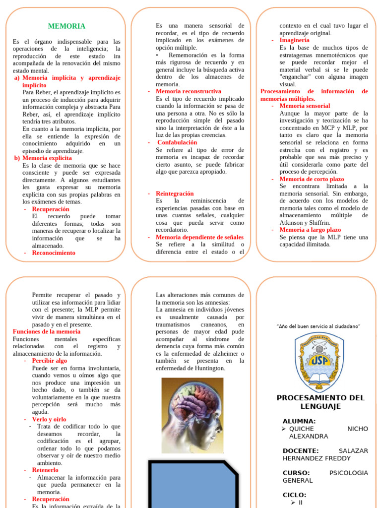 Triptico Memoria | PDF | Memoria | Percepción