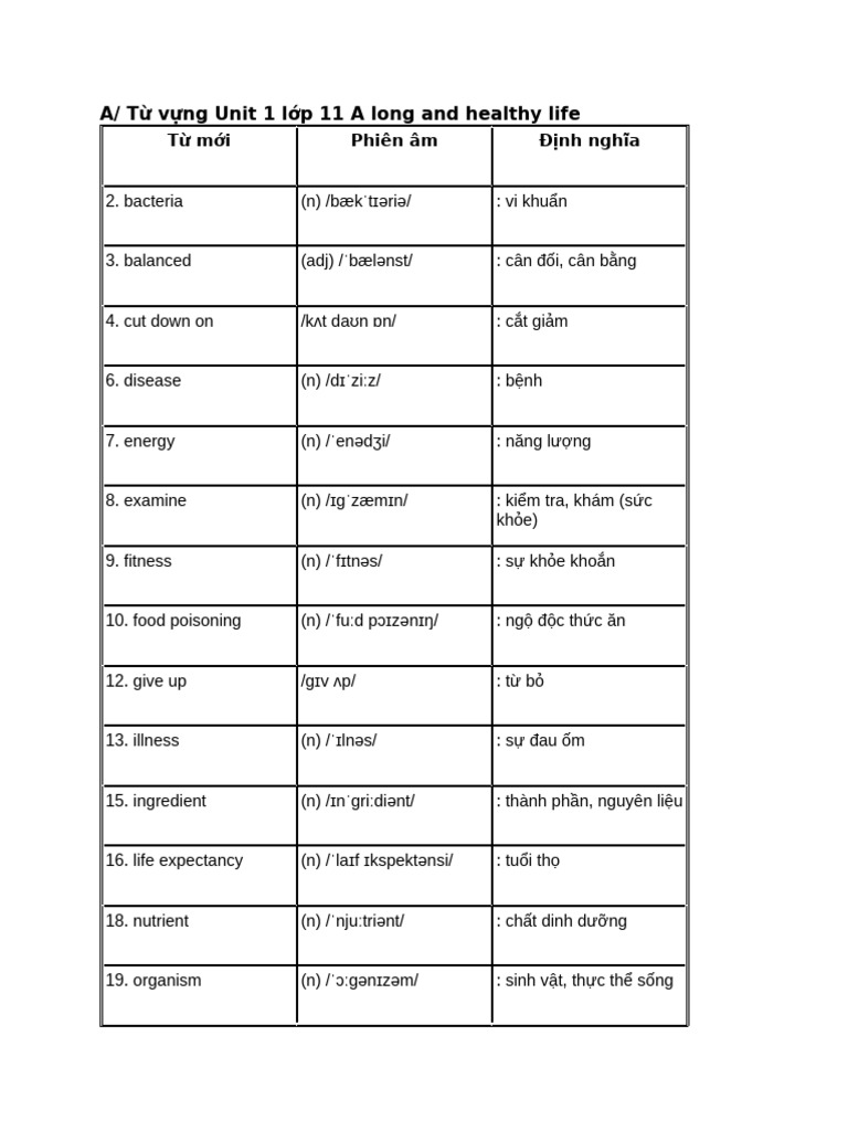T V NG Unit 1 2 3 Anh 11' | PDF