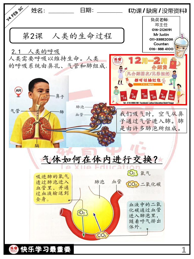 Y4 SC Feb | PDF