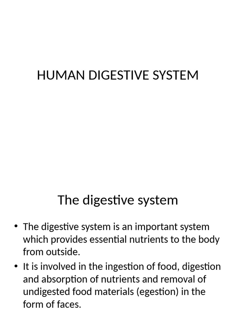 Human Digestive System | PDF | Stomach | Human Digestive System