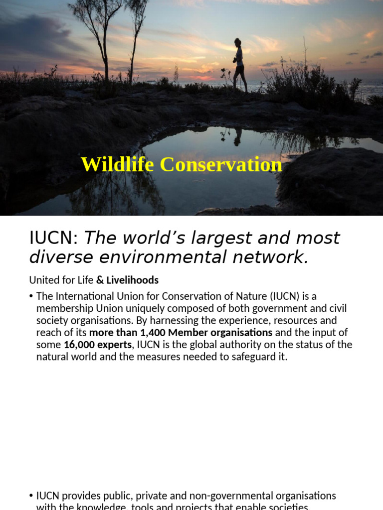 Wildlife Conservation | PDF | Conservation Biology | International Union For Conservation Of Nature