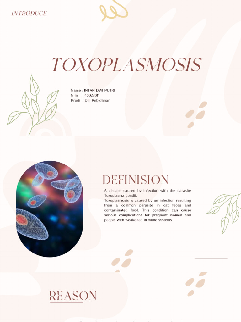 Tugas PPT Ibu Anggi Intan Dwi | PDF