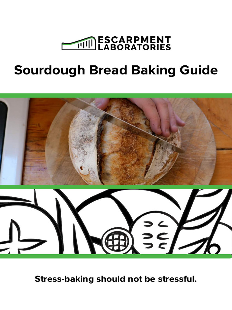Sourdough Bread Baking Guide | PDF | Sourdough | Breads
