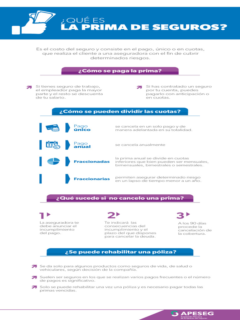 Infografia Que Es Una Prima | PDF