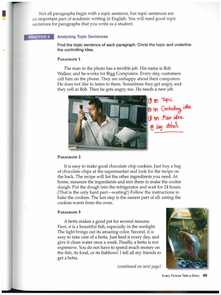 Topic Sentences and Titles | PDF | Foods
