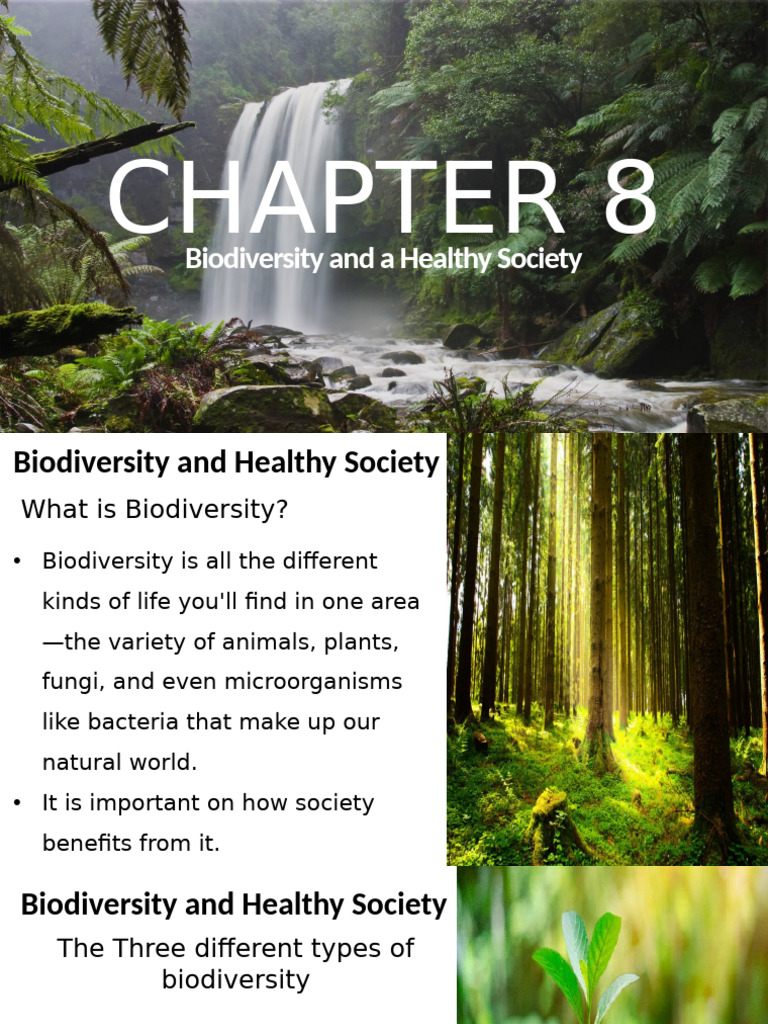 Chapter-8 (1) | PDF | Agriculture | Biodiversity