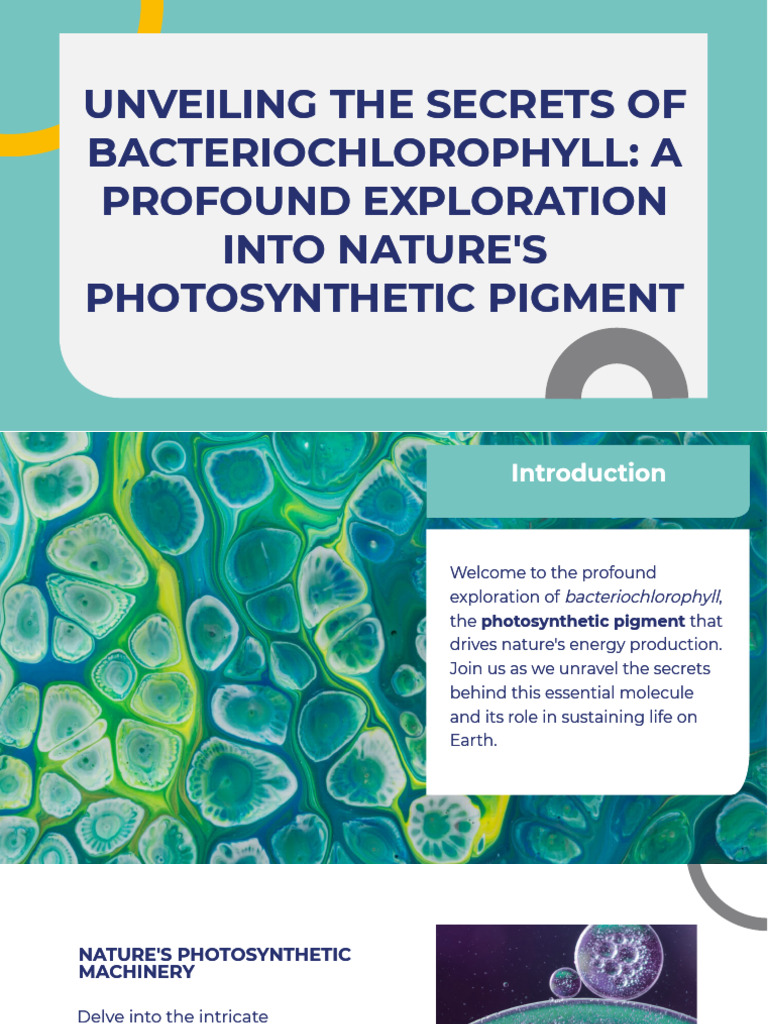 Wepik Unveiling The Secrets of Bacteriochlorophyll A Profound ...