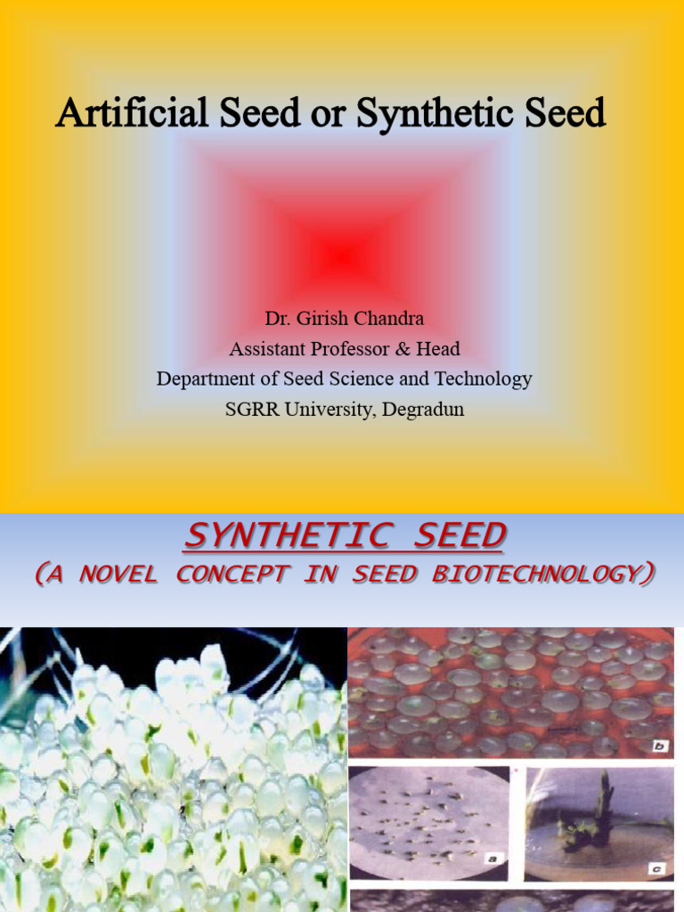 Synthetic Seed Technology Overview | PDF | Seed | Embryo