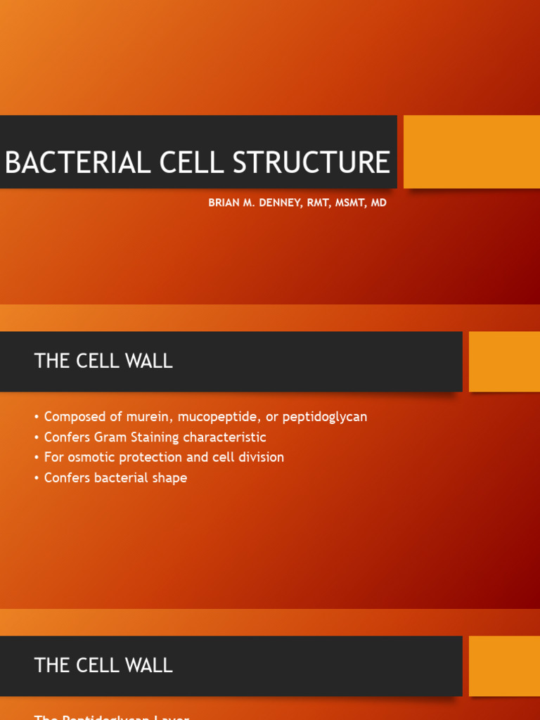 2 Week - BACTERIAL-CELL-STRUCTURE | PDF