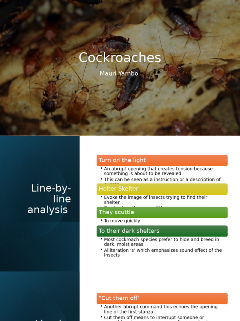 Cockroaches | PDF