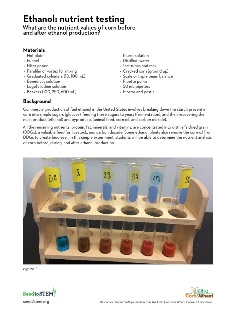 Ethanol Nutrient Testing | PDF | Chemistry