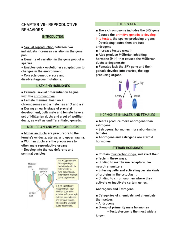 Reproductive Behaviors | PDF | Menstrual Cycle | Luteinizing Hormone
