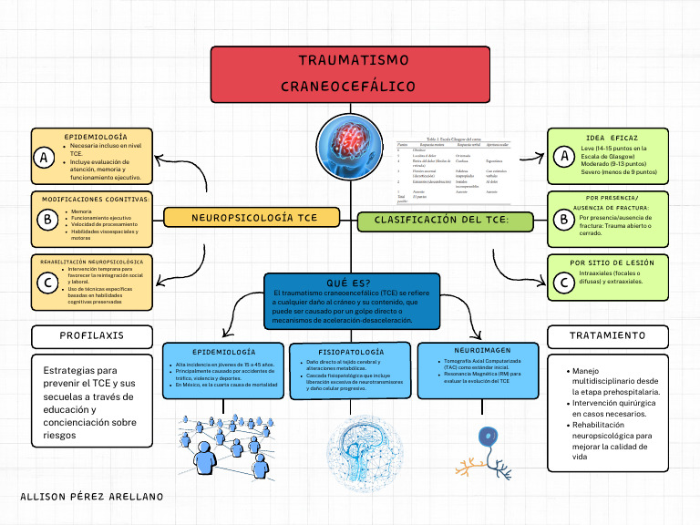 Mapa Neuro | PDF | Medicina CLINICA | Sistema nervioso