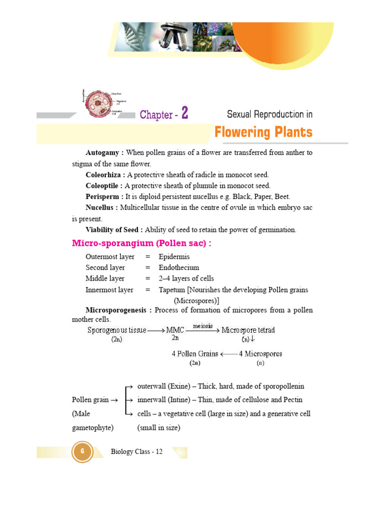 12 Biology Revision Questions 2017 18 Chapter 2 | PDF | Pollination ...