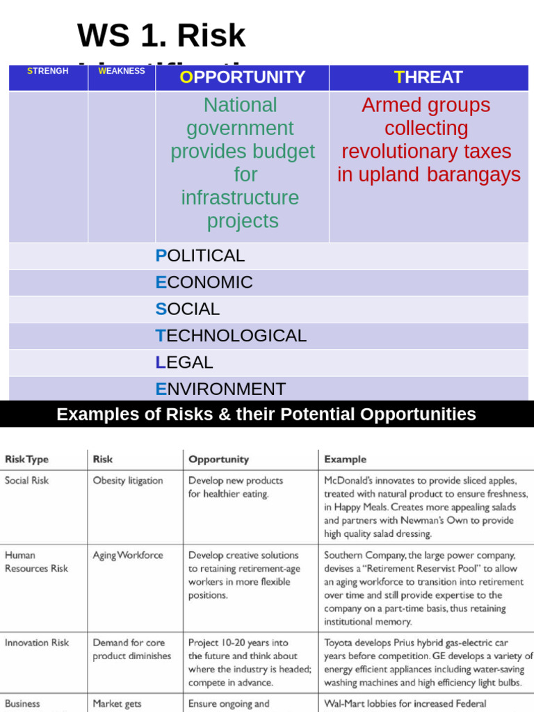 WS 1 & 2 Risk Identification - Writing Risk & Opportunity Scenarios | PDF