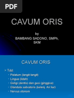 Anatomi Cavum Oris | PDF