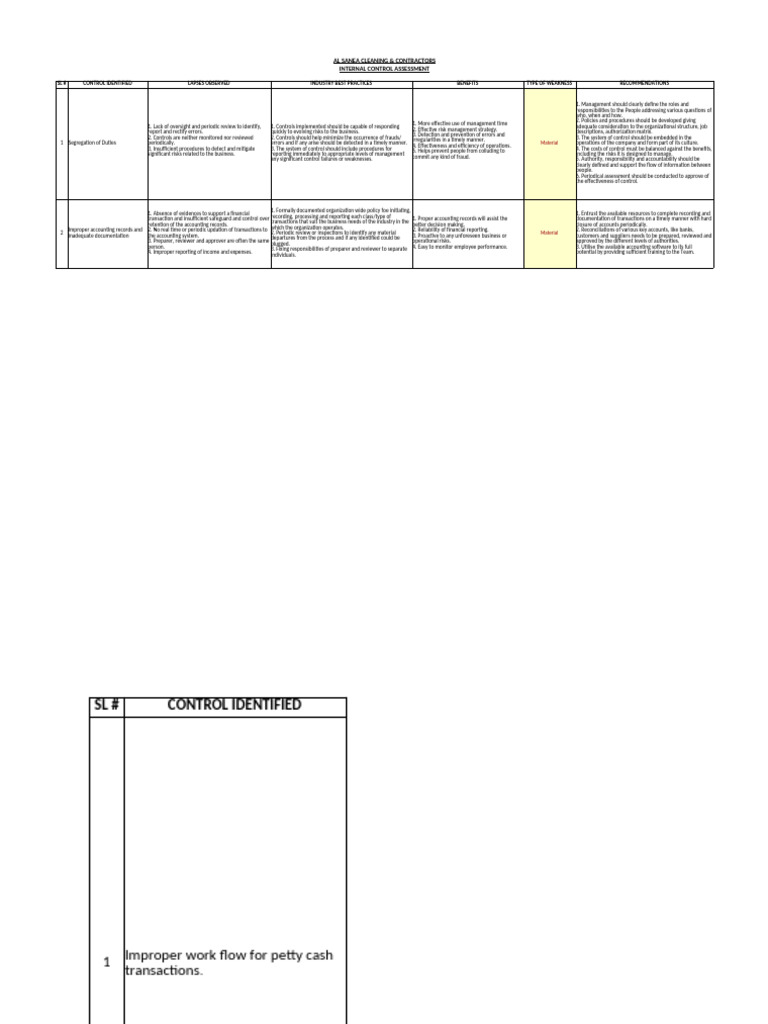 Internal Control Insights | PDF | Internal Control | Expense