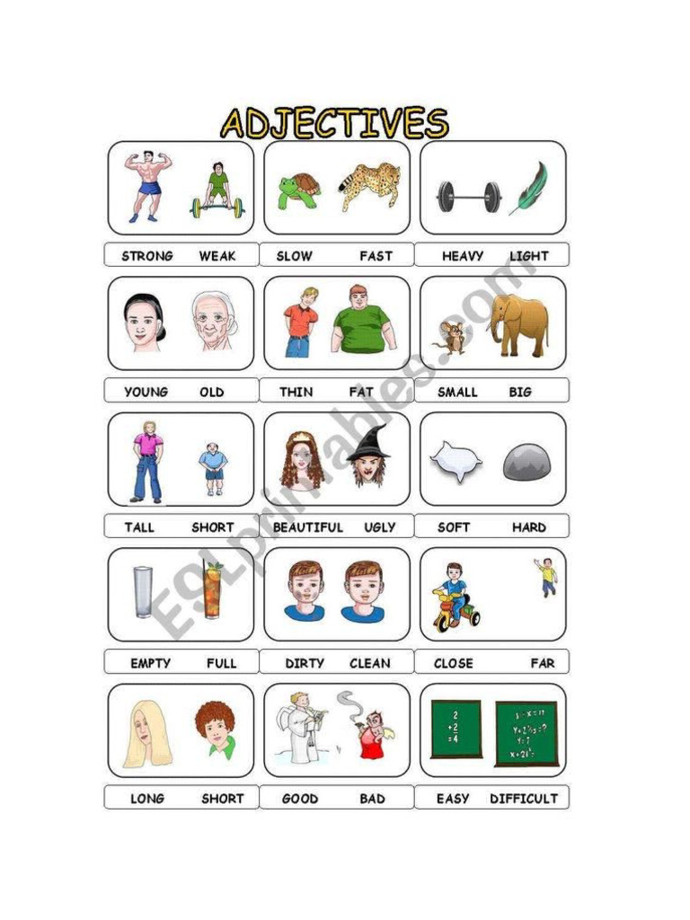 Adjective | PDF