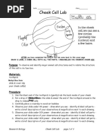 Observing Human Cheek Cells Under Microscope | PDF | Cell (Biology ...