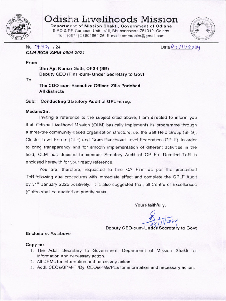 GPLF Audit Guidelines for Odisha Mission | PDF | Audit | Request For ...