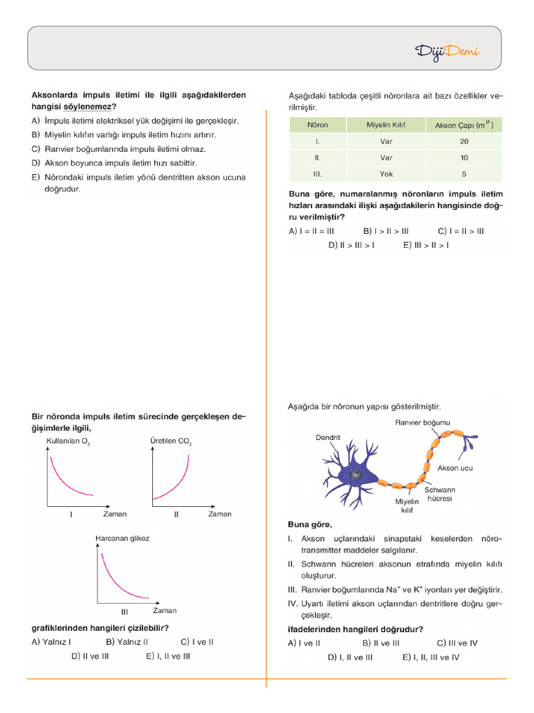 28 09 2024 11 Sinif KTT | PDF