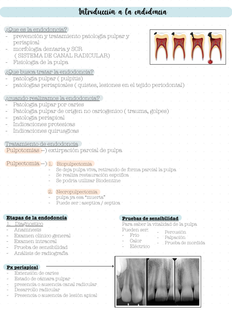 Enfo | PDF | Anatomia dental | Diente