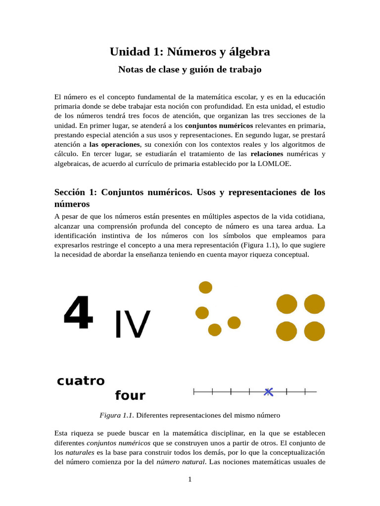 Tema1 1-1guion | PDF | Números | Número racional
