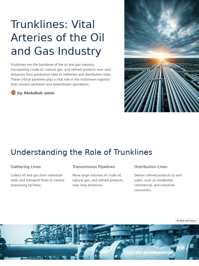 Trunklines Vital Arteries of The Oil and Gas Industry | PDF | Natural ...