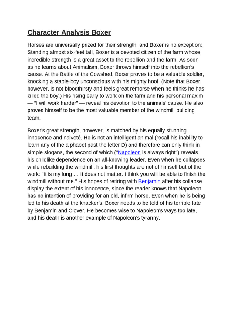 Character Analysis Boxer | PDF