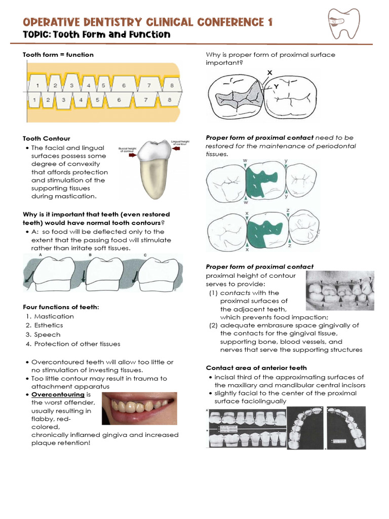 Resto CC Midterms | PDF | Dental Anatomy | Tooth Enamel