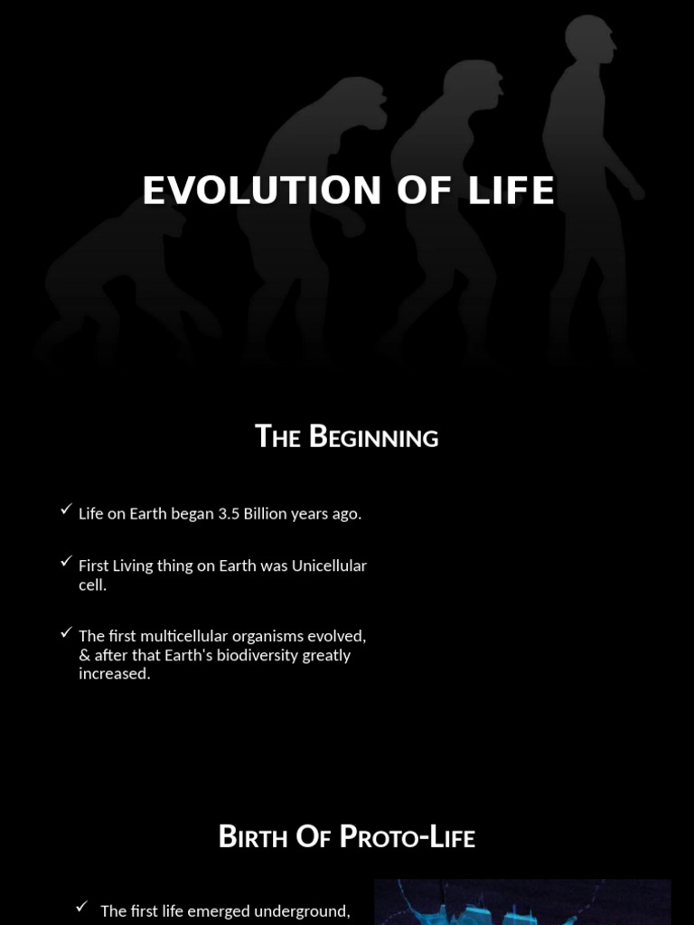 EVOLUTION OF LIFE 2 | PDF | Human | Evolution