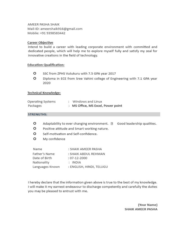 Ameer - Resume PDF | PDF