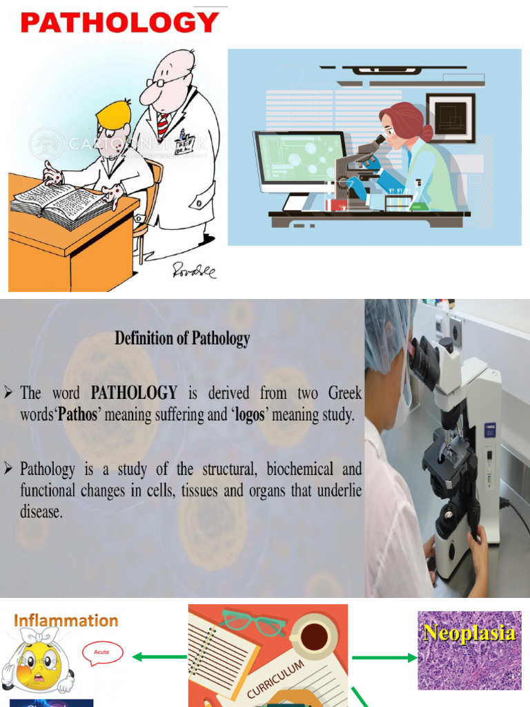 Inflammation 1 2023 | PDF