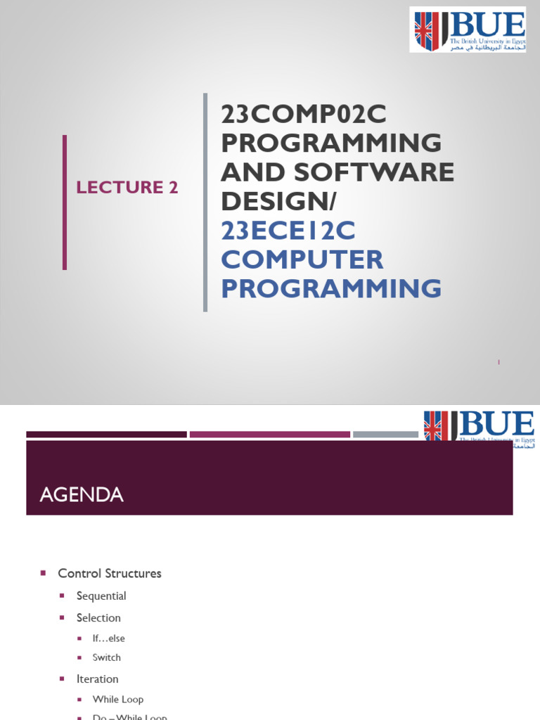 BUE Lec 2 Selection and Loops | PDF | Computer Programming | Software ...