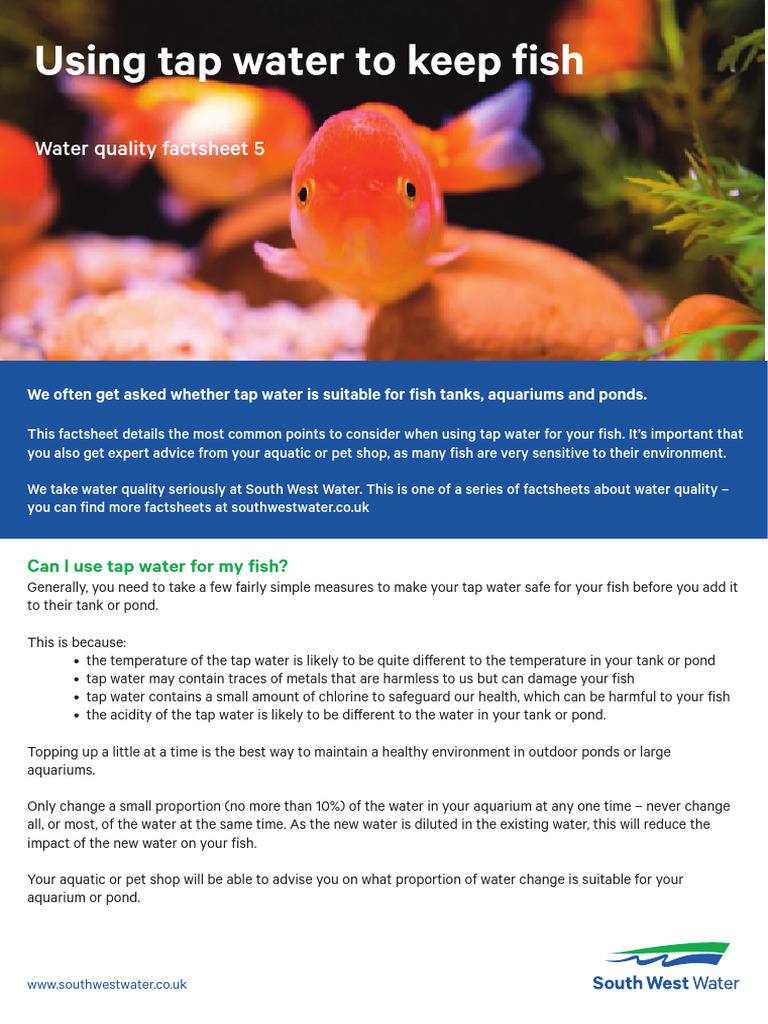 Water Quality Factsheet Keeping Fish | PDF | Aquarium | Water