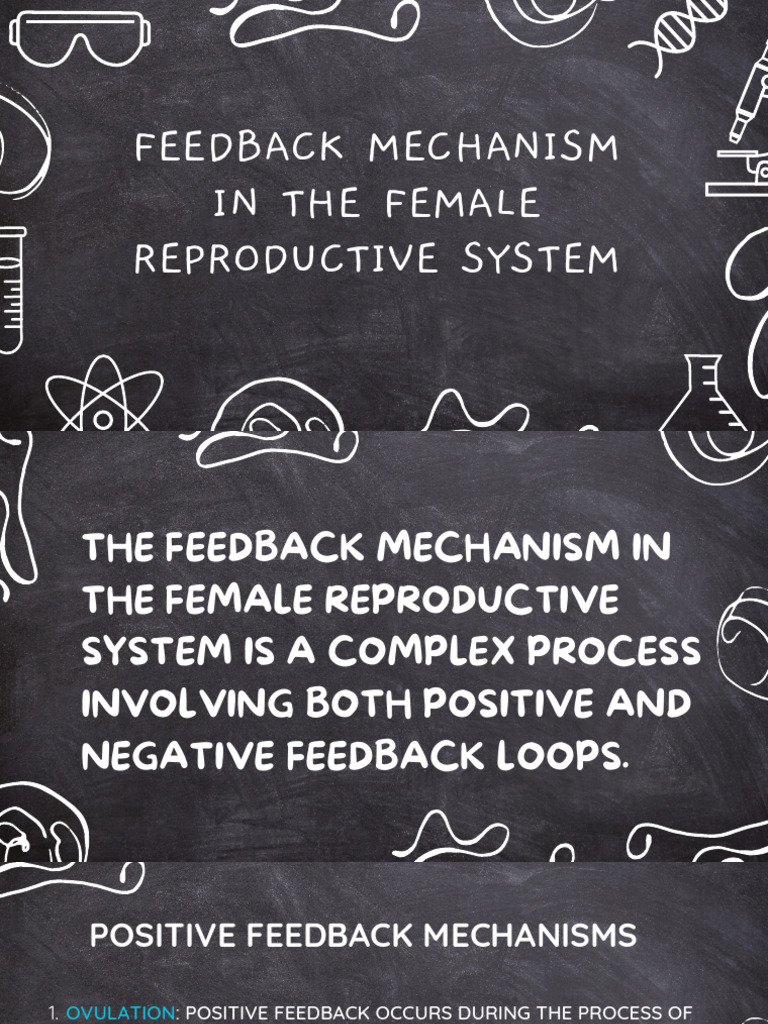 Feedback Mechanism in The Female Reproductive System | PDF ...